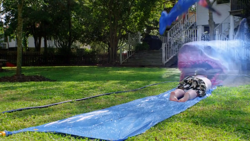 BliZZarraDas: Ghost Shark (2013)